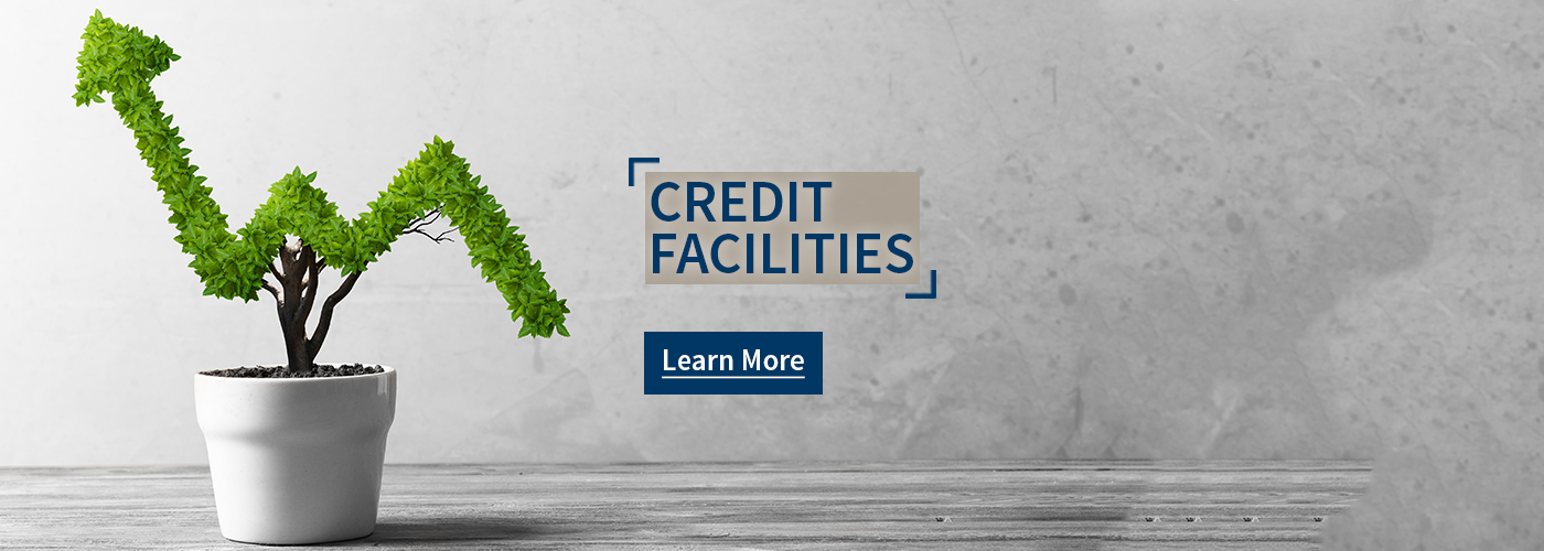 Credit Facilities | Arab Jordan Investment Bank